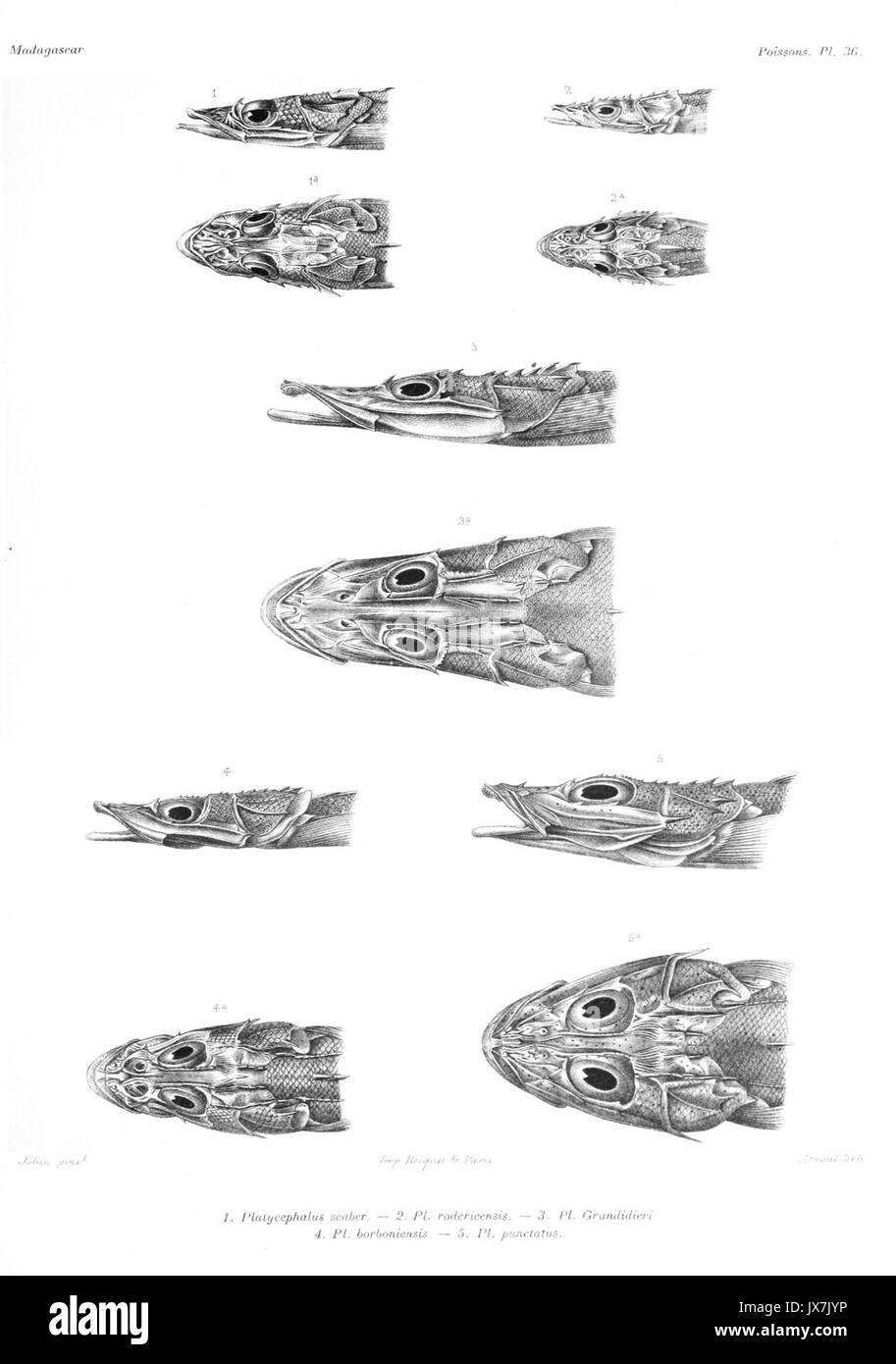 0083 Cut Out Stock Images & Pictures - Alamy