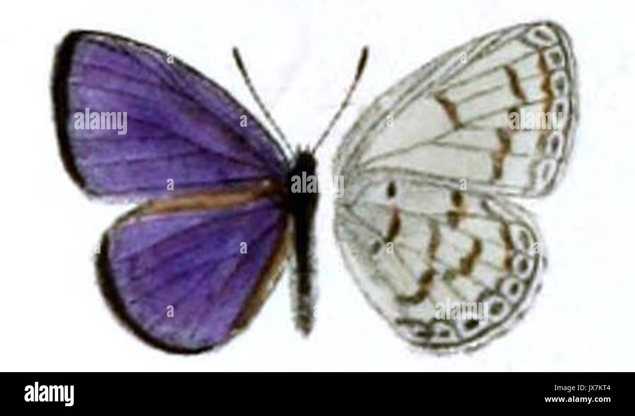 Musina water hi-res stock photography and images - Alamy