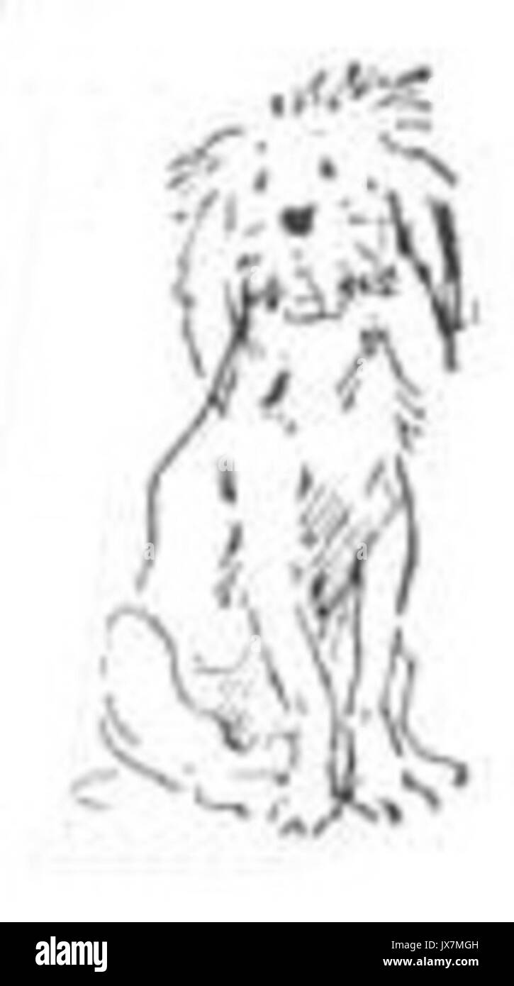 Pet realism Cut Out Stock Images & Pictures - Alamy