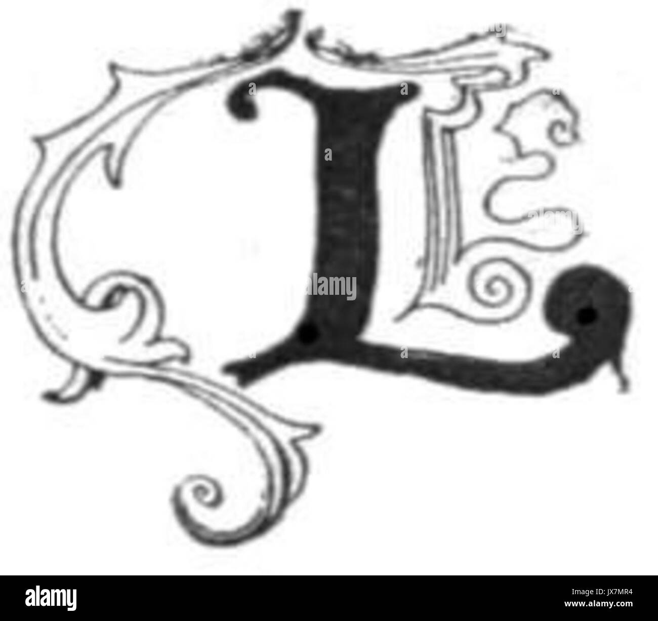 The Letter L Stock Photo - Alamy