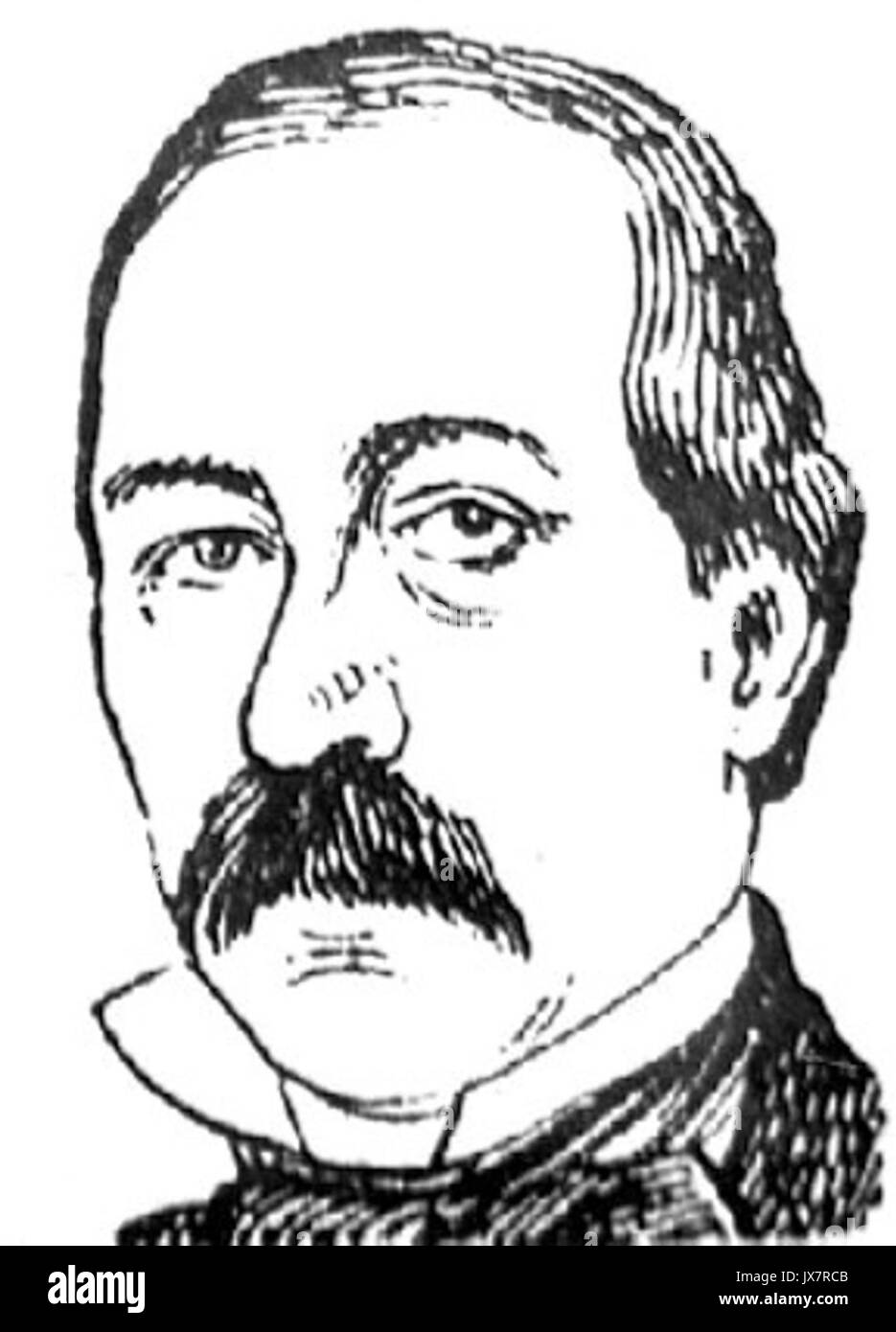 Large green leaves on Black and White Stock Photos & Images - Alamy