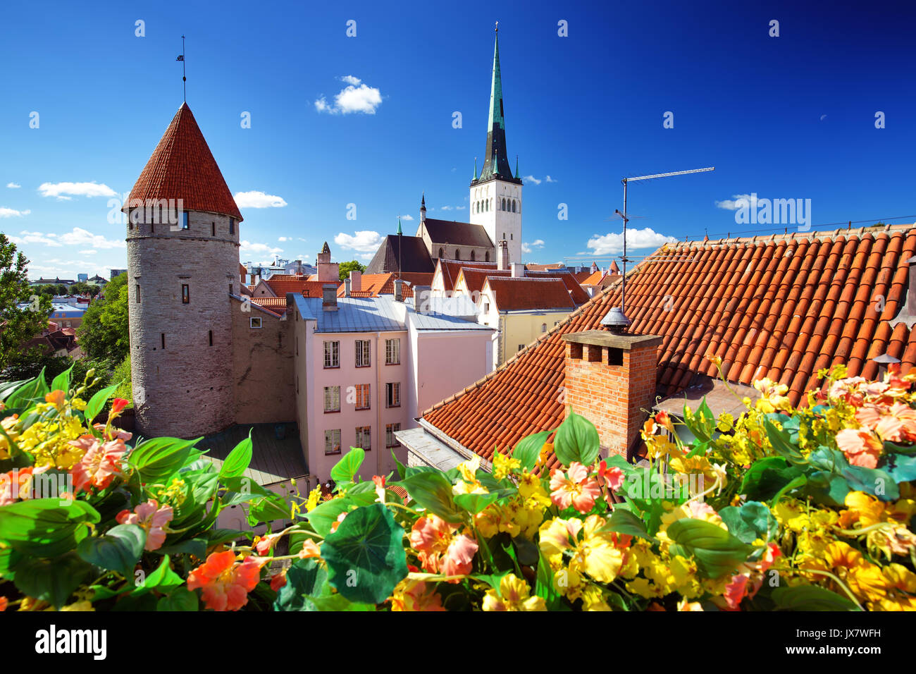 Old Tallinn in summer Stock Photo - Alamy