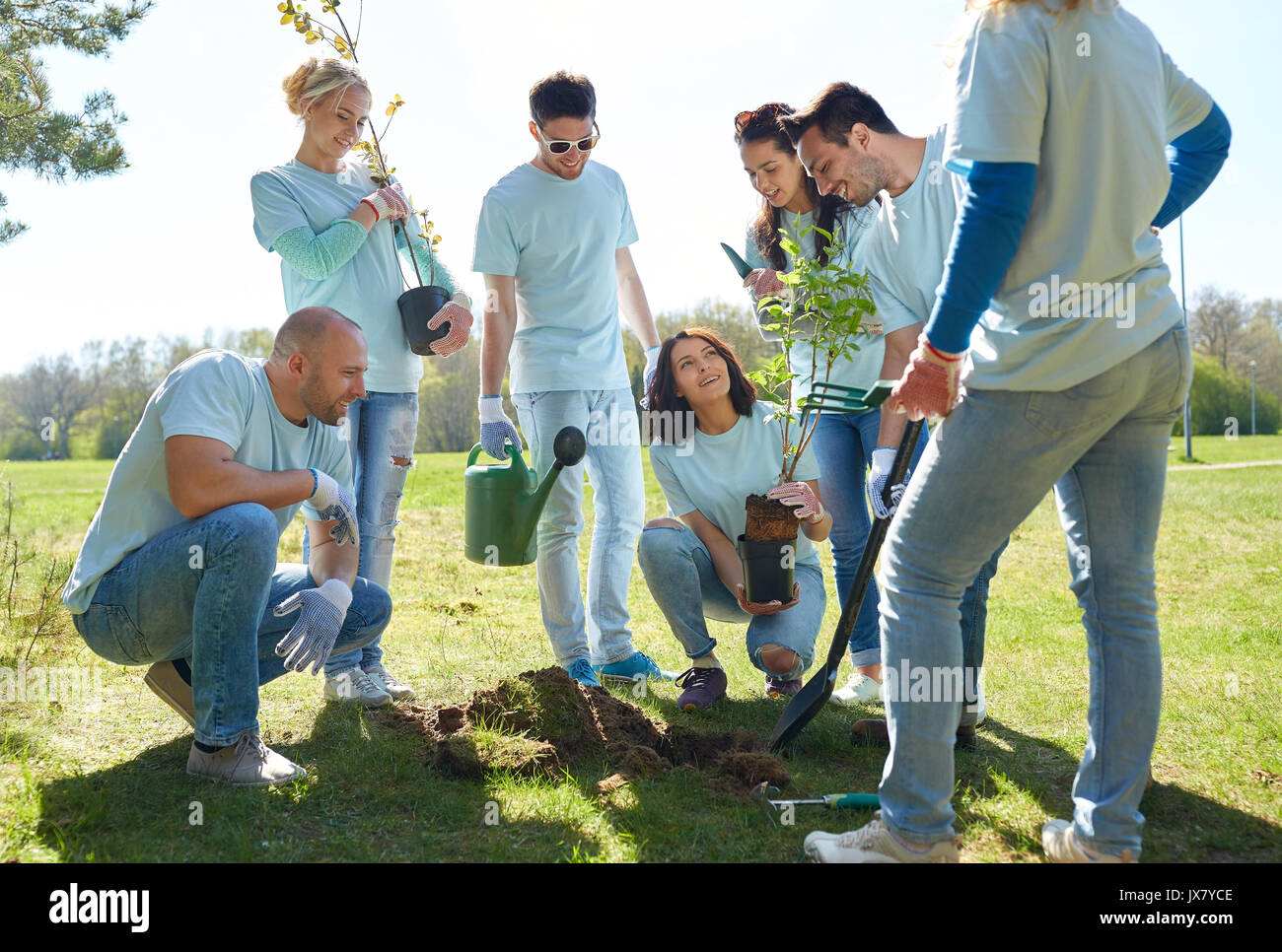 group of volunteers planting tree in park Stock Photo - Alamy