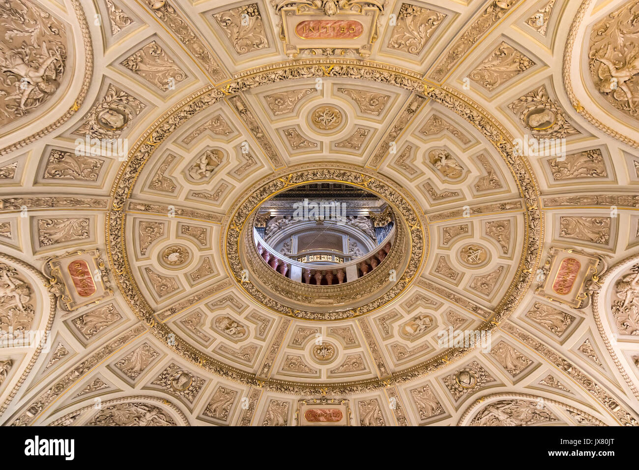 Natural history museum ceiling detail hi-res stock photography and ...