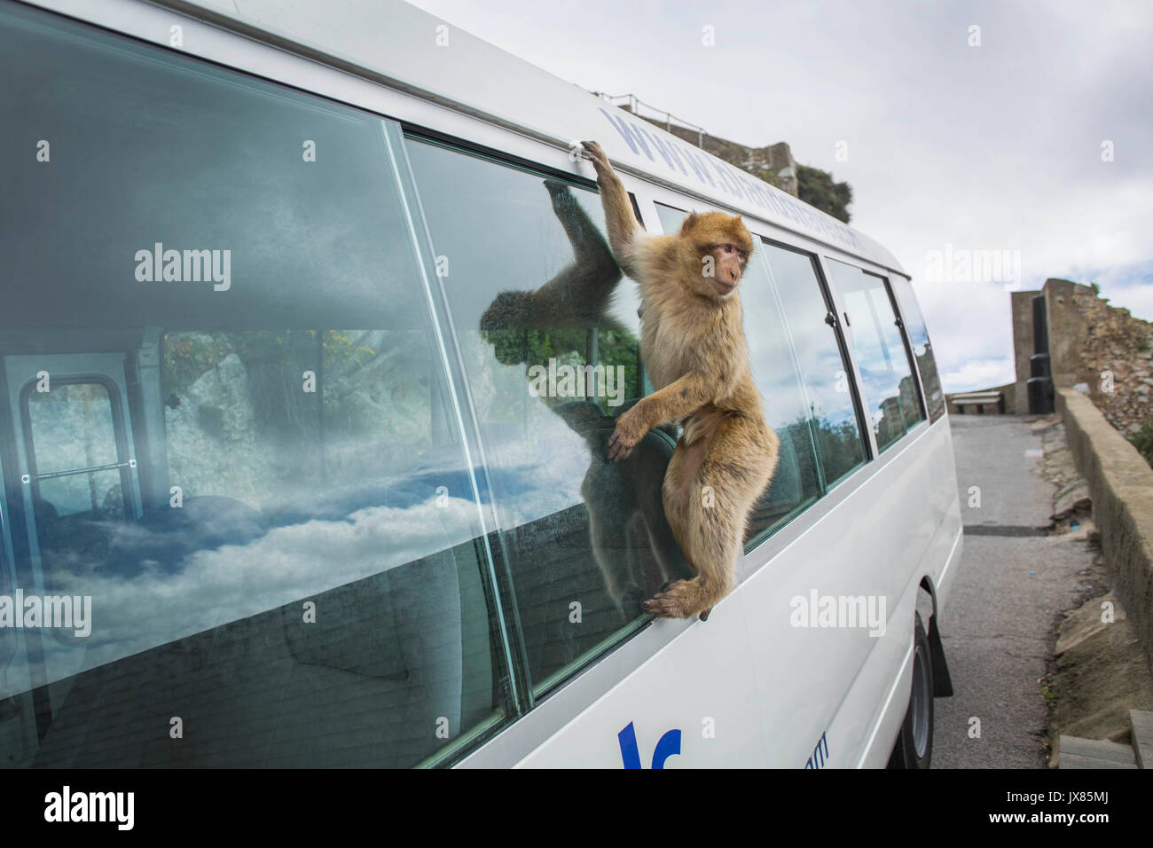 Female climbing bus hi-res stock photography and images - Alamy