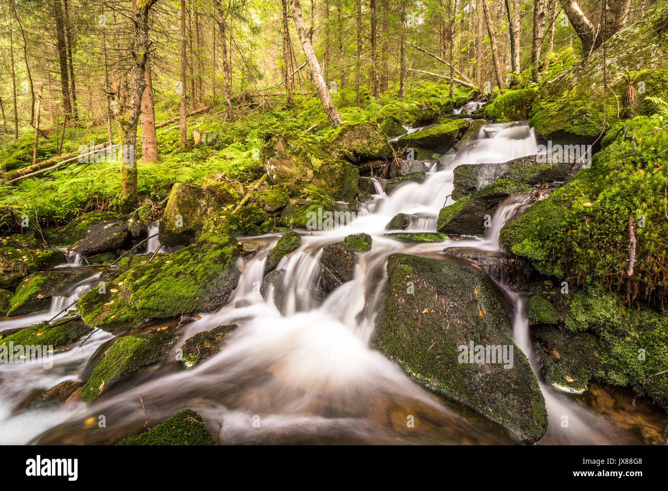 Water flow in a stream, long exposure Stock Photo - Alamy