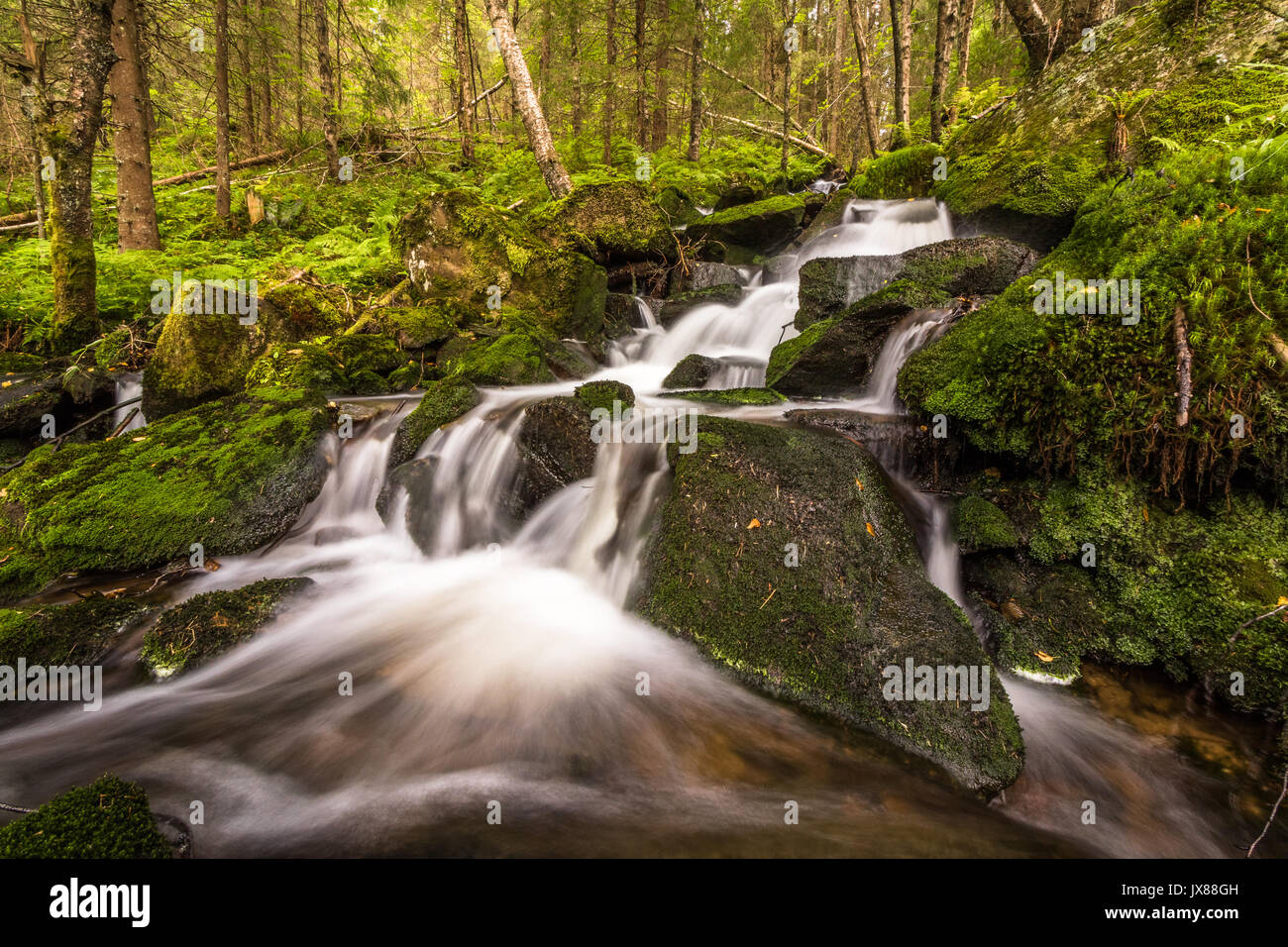 Water flow in a stream, long exposure Stock Photo - Alamy