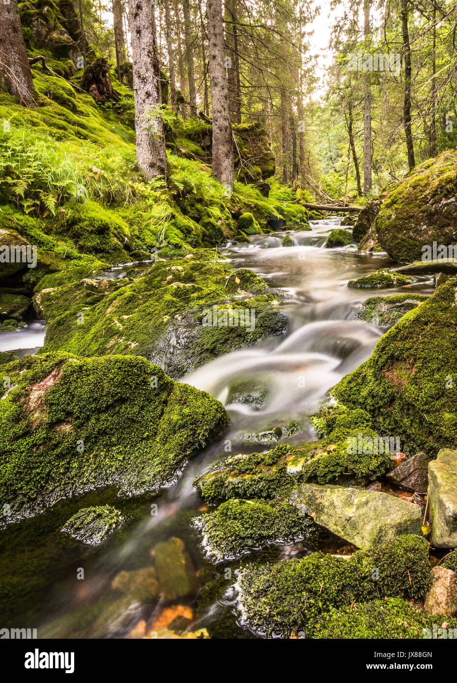 Water flow in a stream, long exposure, vertical Stock Photo - Alamy
