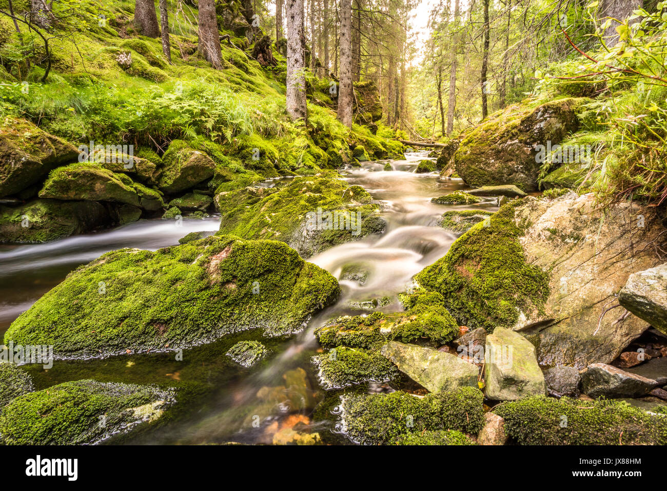 Water flow in a stream, long exposure Stock Photo - Alamy