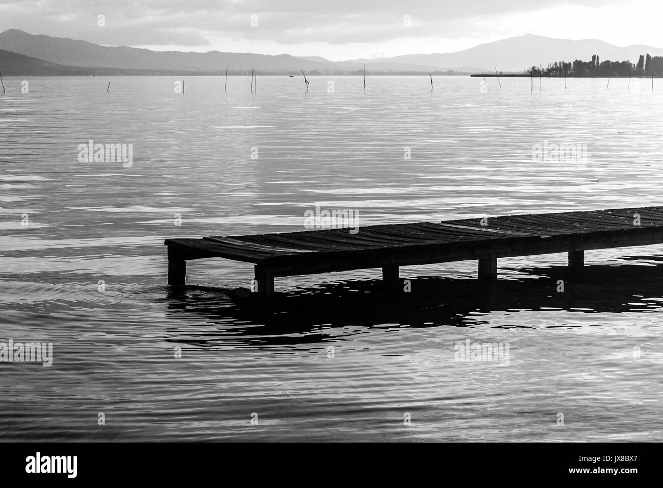 Soft tones hi-res stock photography and images - Alamy