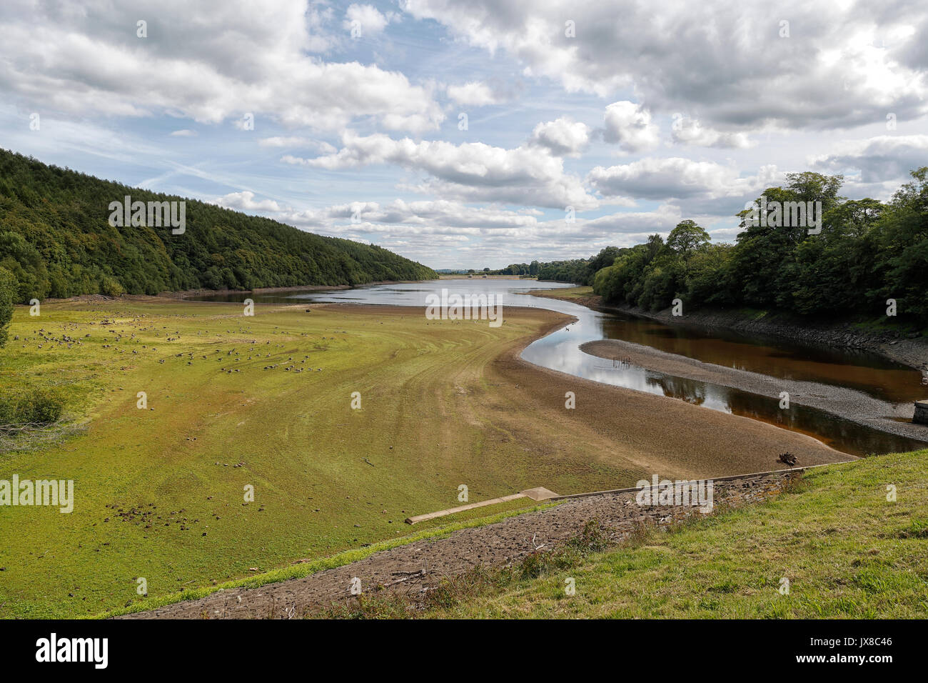 Lindley Wood Reservoir looking South towards the dam and the outflow of ...