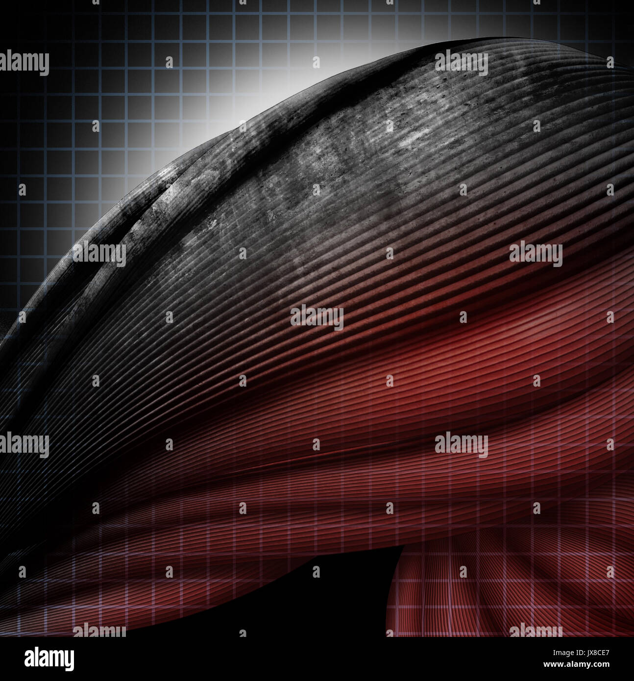 Degenerative muscle disease as muscular dystrophy medical illness ...