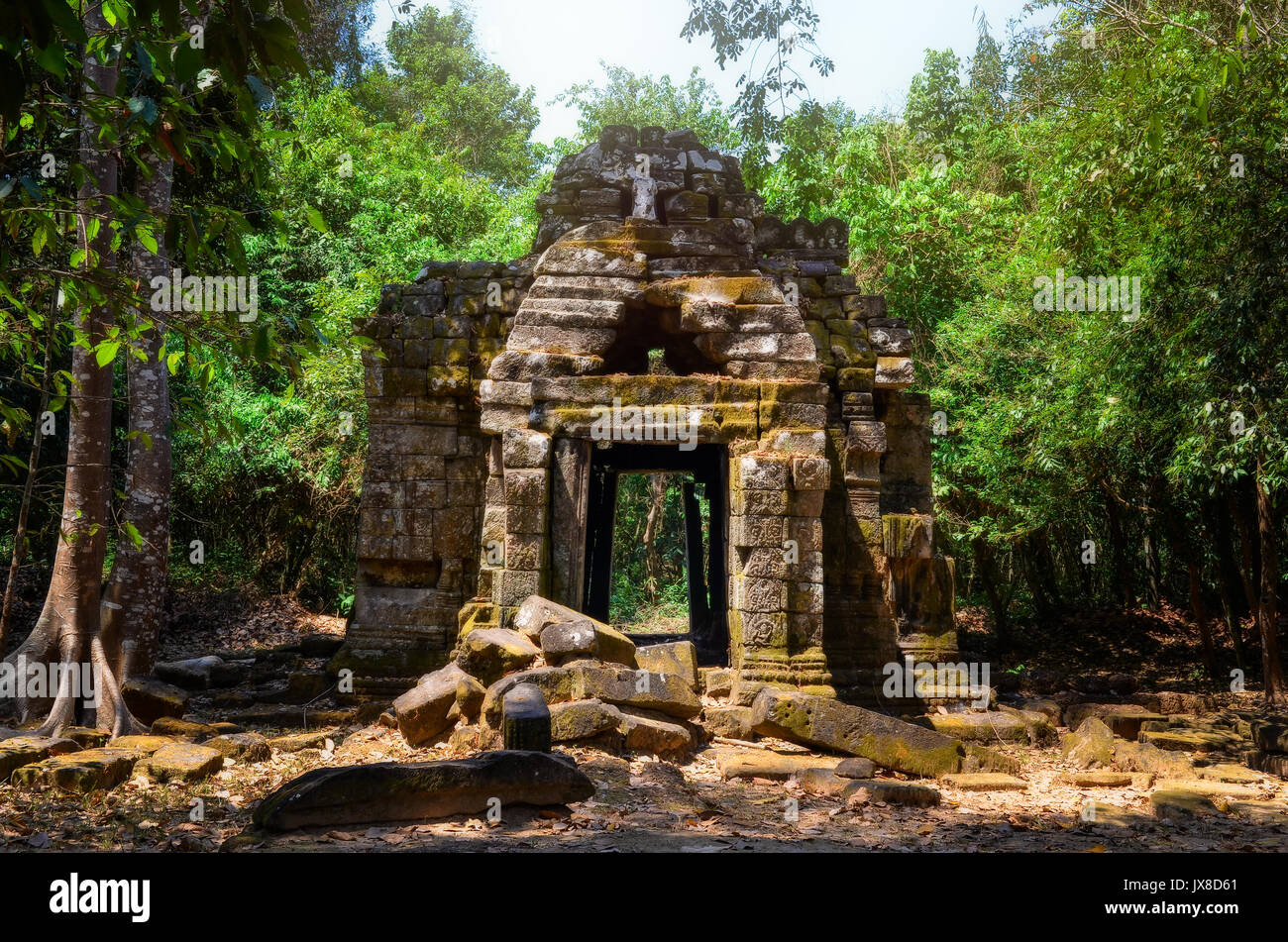 Ancient Jungle Temple