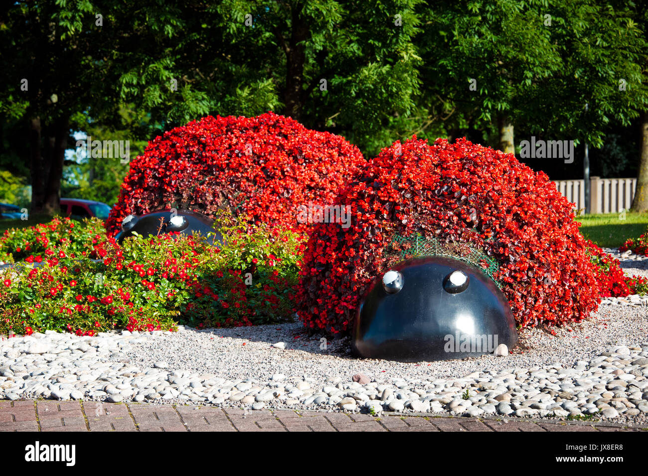 Landscape design flower hi-res stock photography and images - Alamy