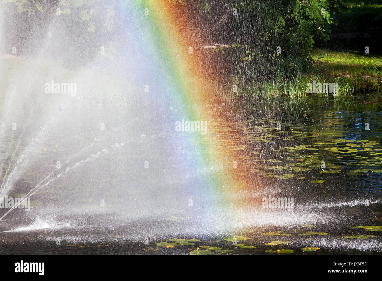 Colorful rainbow on the pond close up view Stock Photo - Alamy