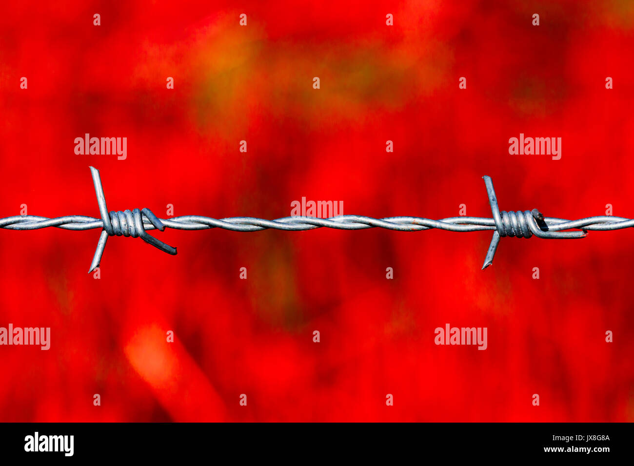Ww1 battlefield barbed wire hi-res stock photography and images - Alamy