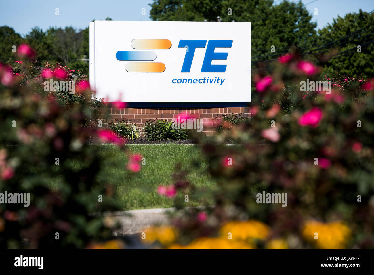 Te connectivity logo hi-res stock photography and images - Alamy