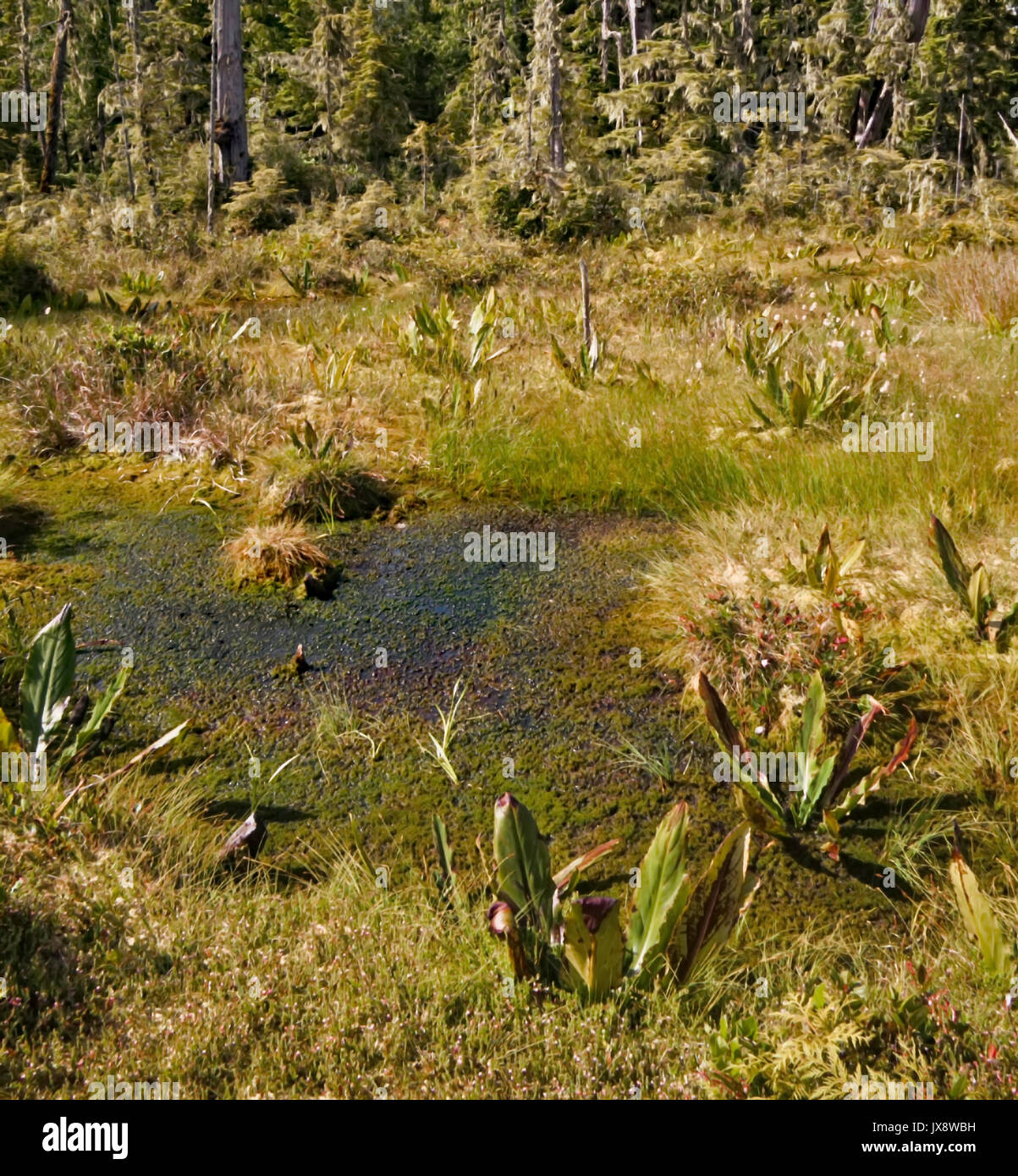 Tribal lands canada hi-res stock photography and images - Alamy