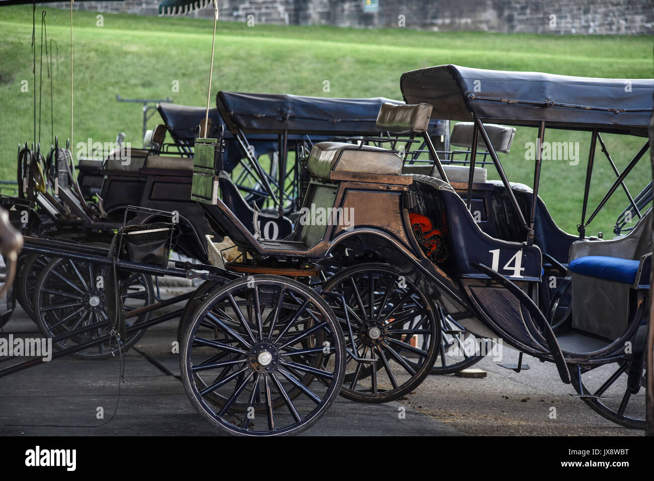 Horse drawn carriage handsome carriage hi-res stock photography and ...