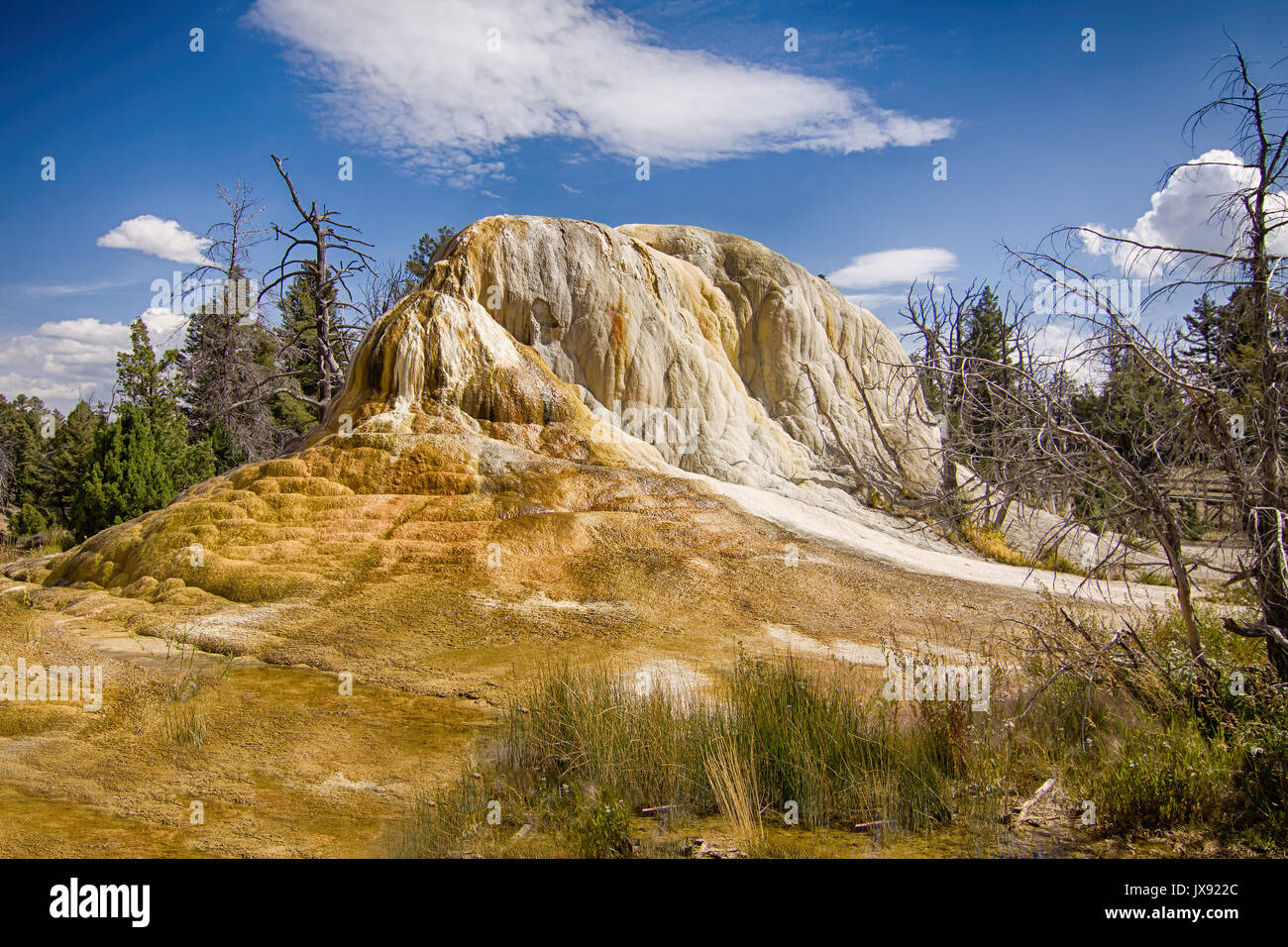 Orange Spring Mound near Mammoth in Yellowstone National Park Stock ...