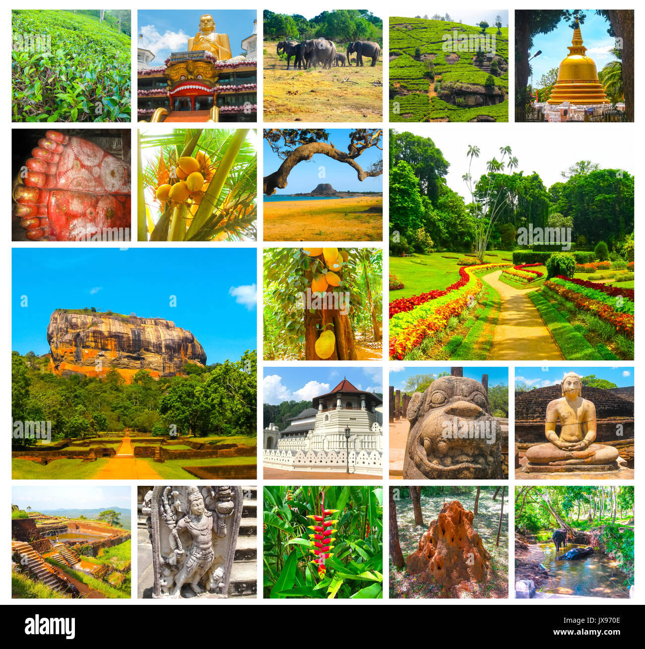 Collage from images of Sri Lanka Stock Photo - Alamy