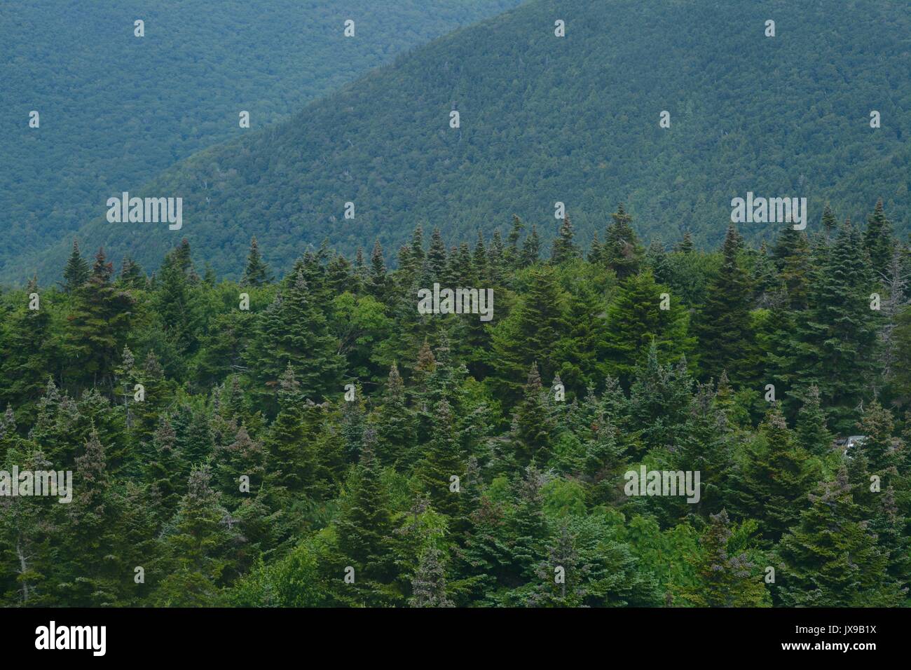 The Observation Deck and view from Mount Greylock, the tallest mountain ...