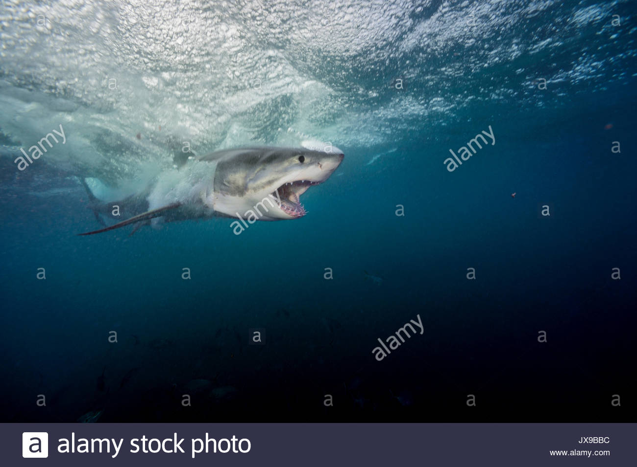 Explodes High Resolution Stock Photography and Images - Alamy