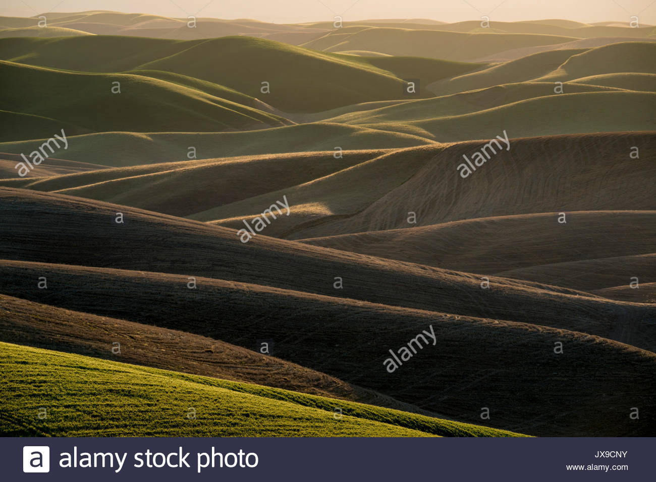 Loess Soil Stock Photos & Loess Soil Stock Images - Alamy