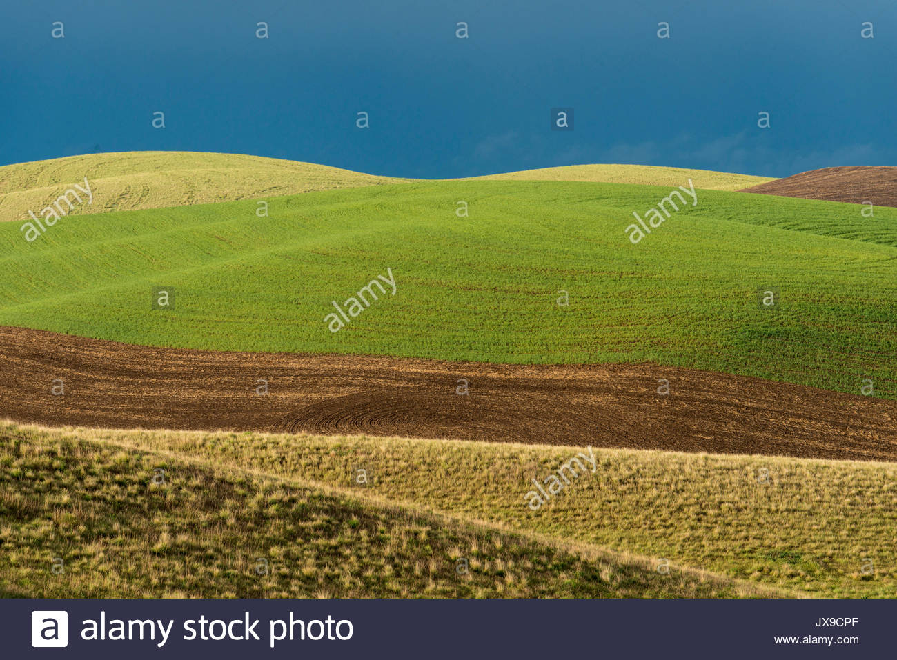 Loess Soil Stock Photos & Loess Soil Stock Images - Alamy