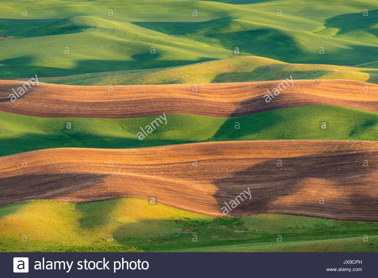 Loess Soil Stock Photos & Loess Soil Stock Images - Alamy