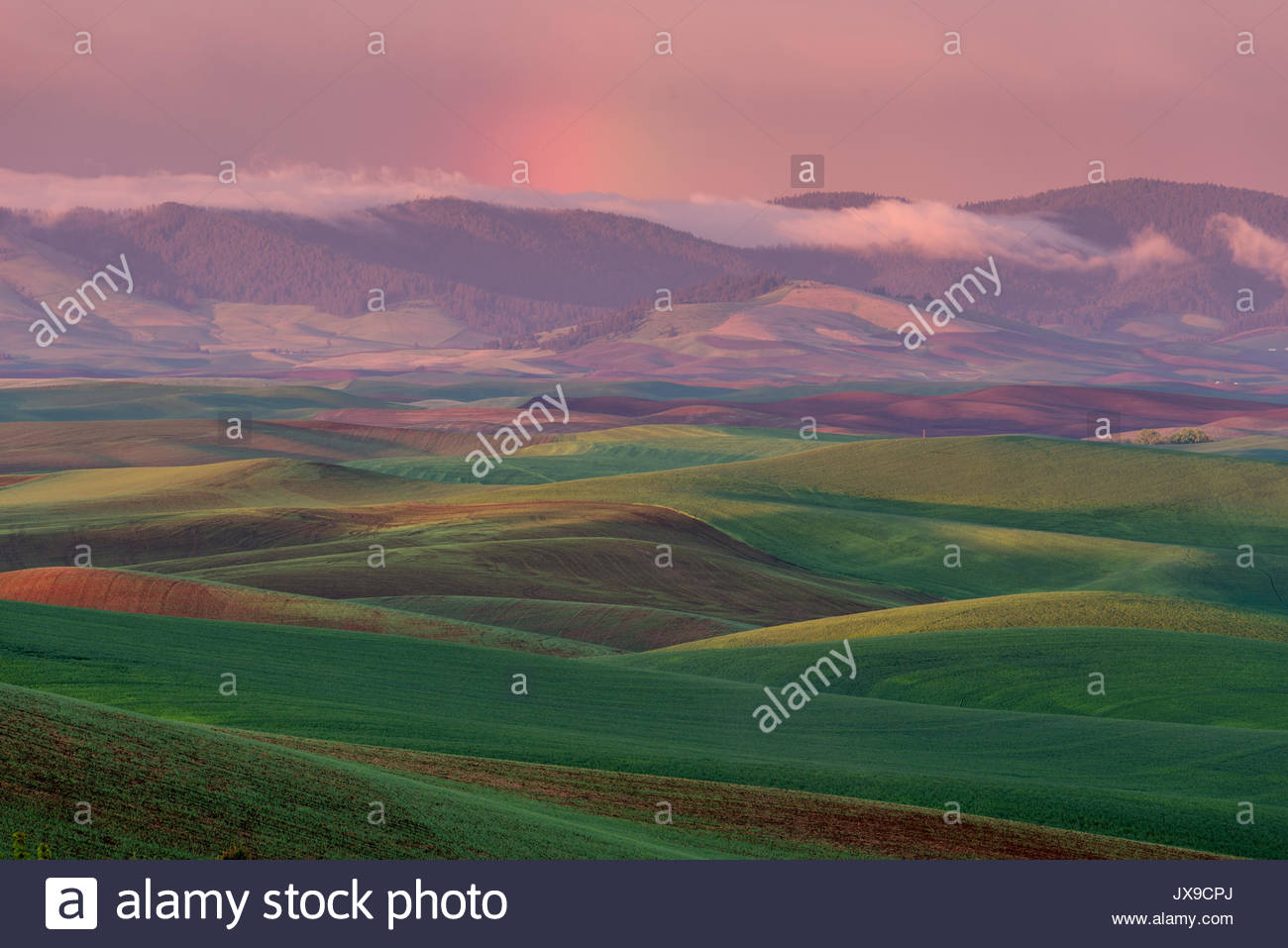 Loess Soil Stock Photos & Loess Soil Stock Images - Alamy