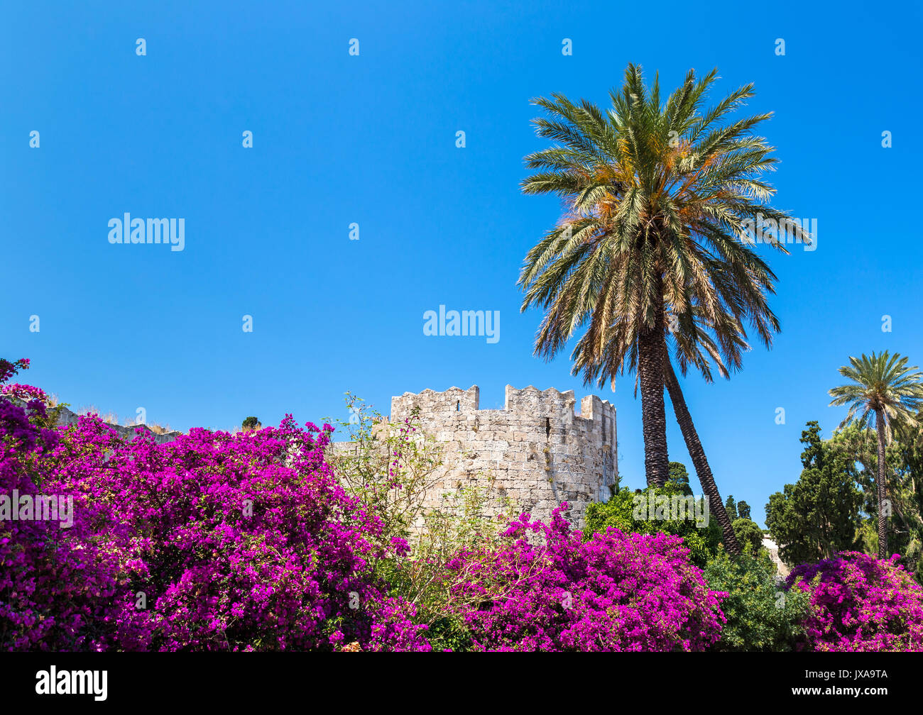 Rhodes flowers hi-res stock photography and images - Alamy