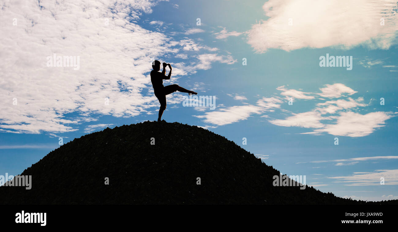 Man kicking practicing martial hi-res stock photography and images - Alamy