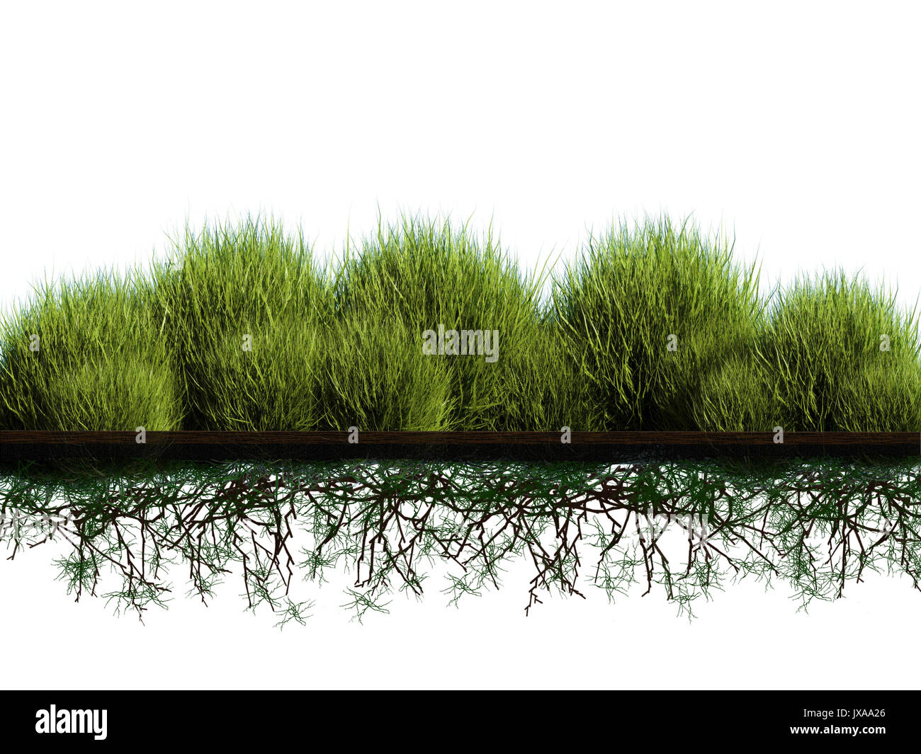 3d rendering plant with roots underground Stock Photo - Alamy