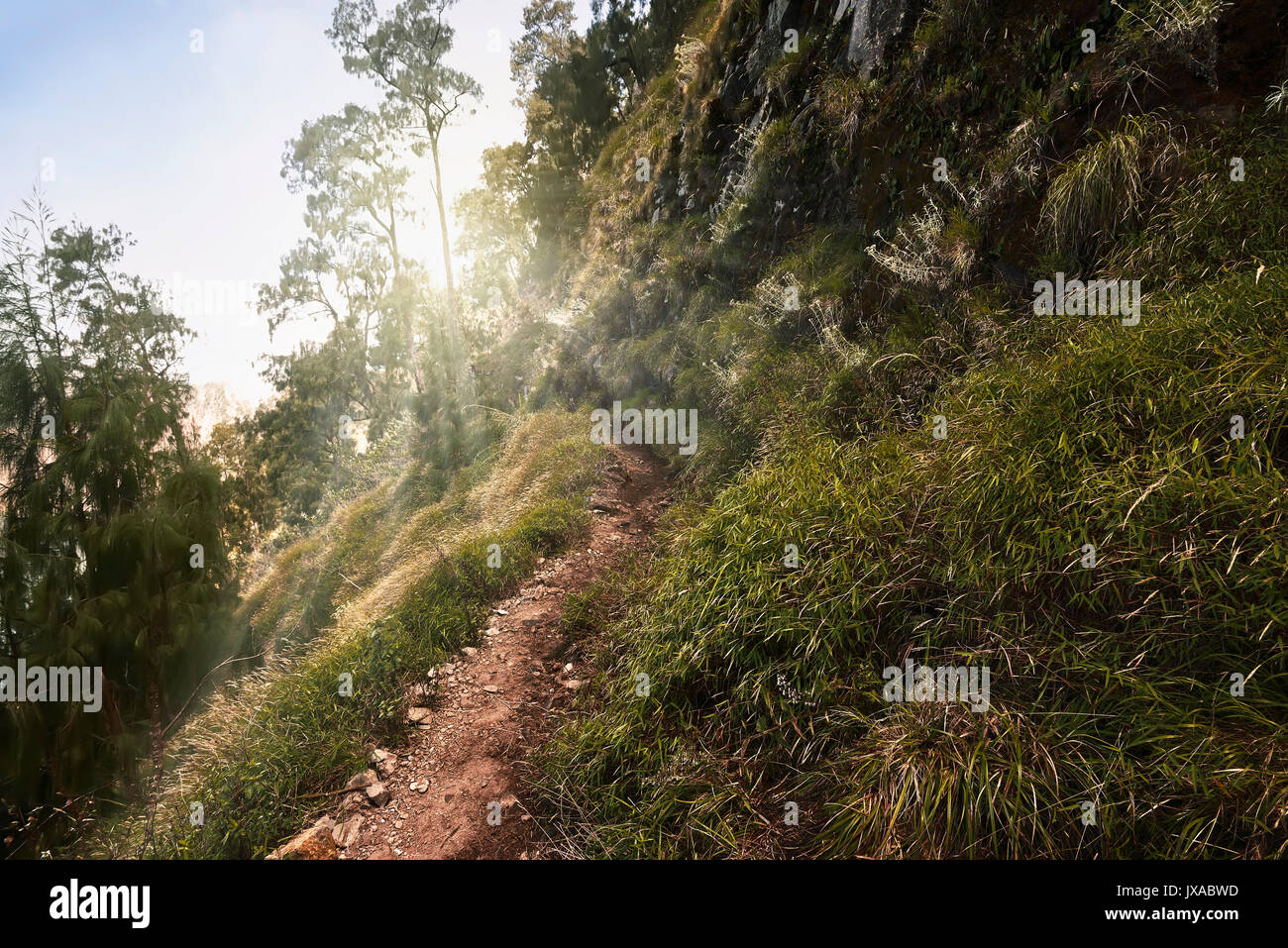 Hiking trails for hiker to Mount Rinjani summit. Lombok, Indonesia ...