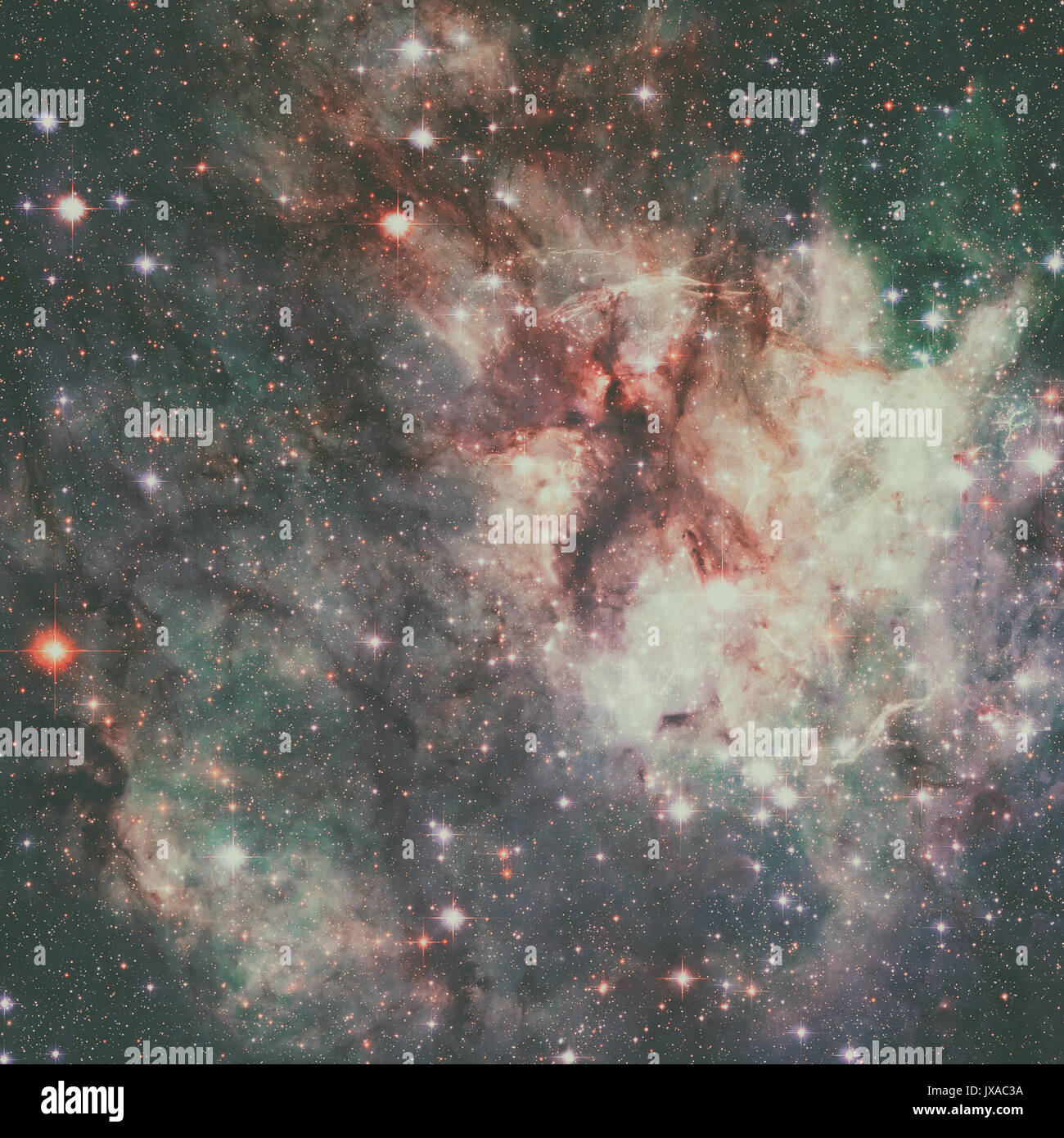 Tarantula Nebula is the star-forming region of ionised hydrogen gas is ...