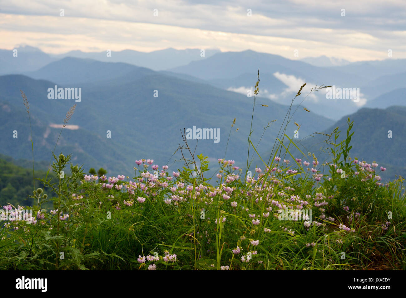 Evening mountain landscape Stock Photo - Alamy