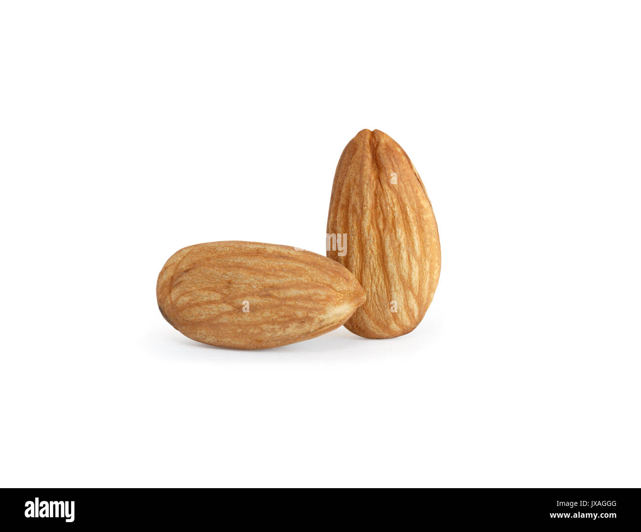 Two almonds on white background. Isolated with clipping path Stock ...