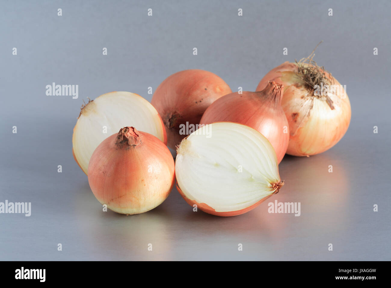 Cross section onion root hi-res stock photography and images - Alamy