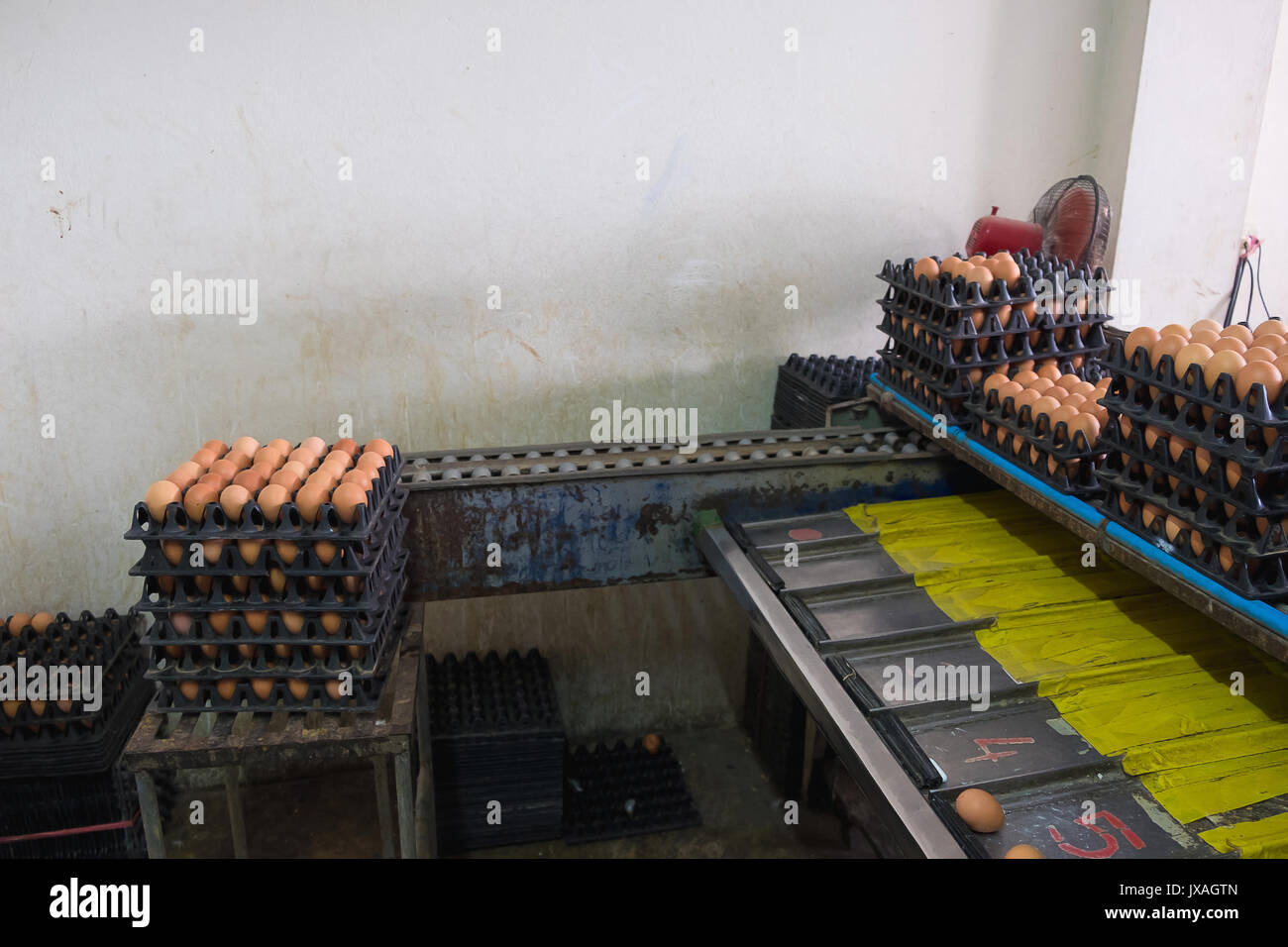 Egg size machine hi-res stock photography and images - Alamy