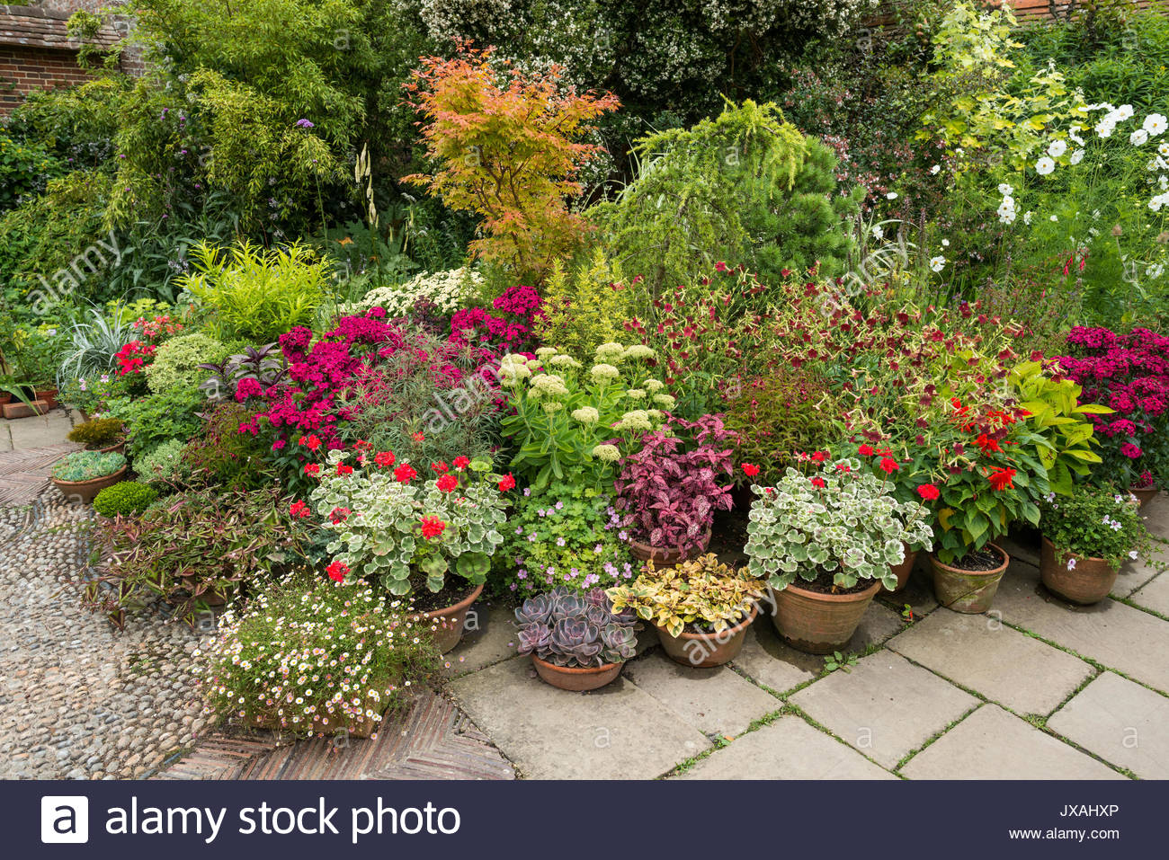 Colourful Planters High Resolution Stock Photography and Images - Alamy