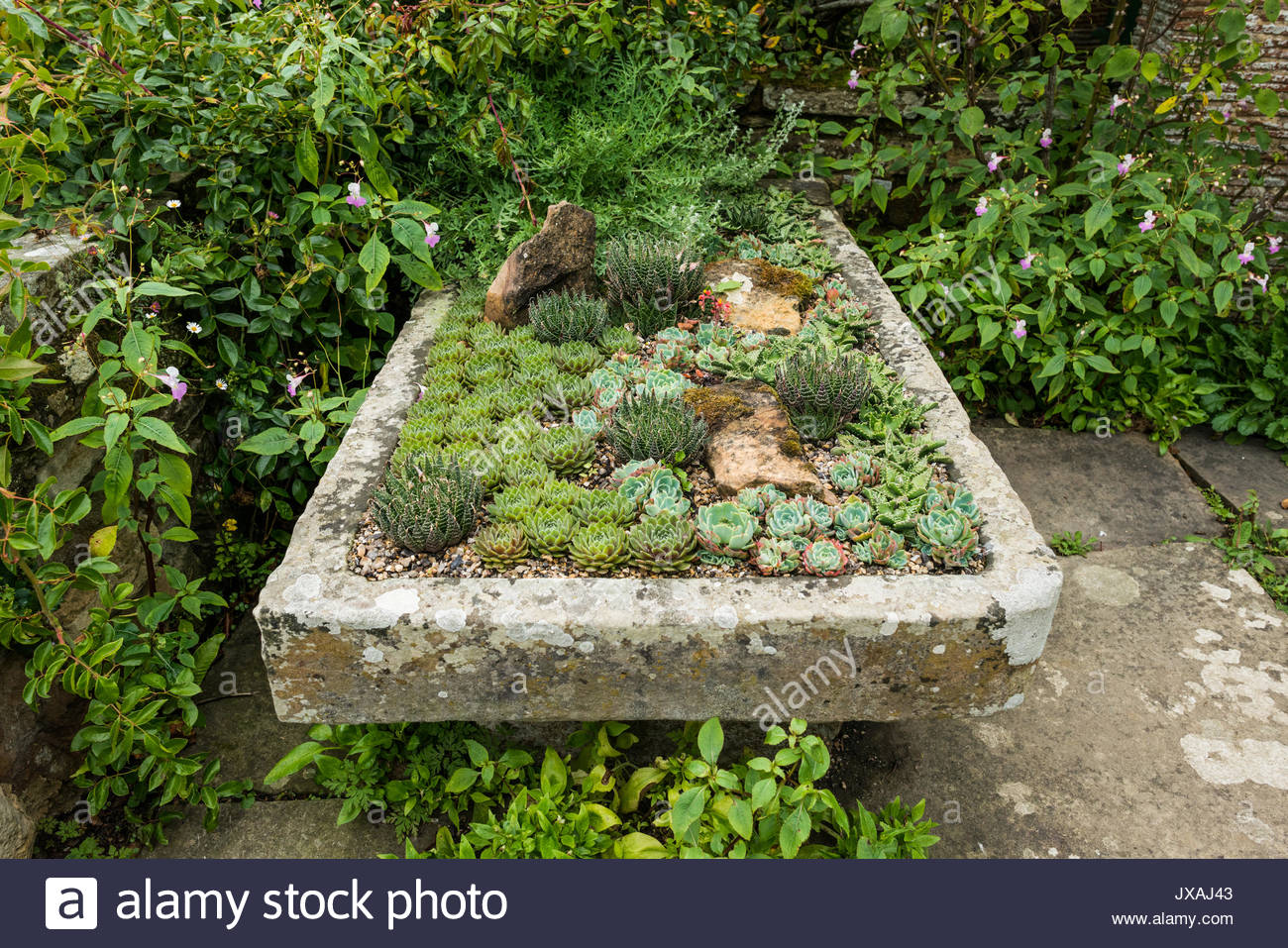 Trough Planter High Resolution Stock Photography and Images - Alamy