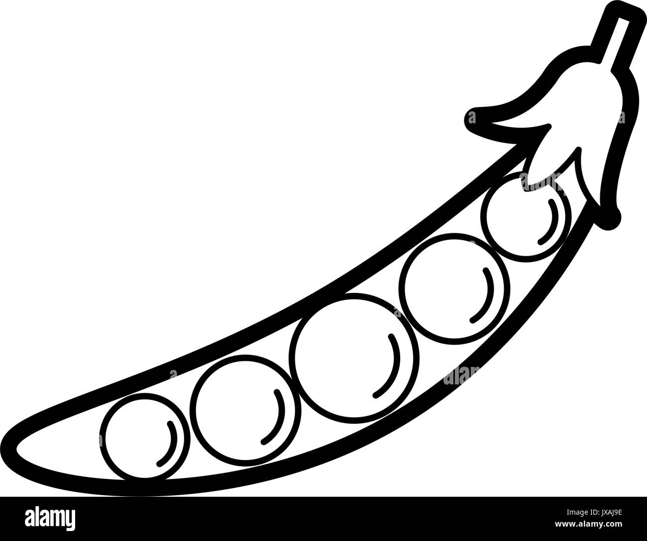 peas vector illustration Stock Vector Image & Art - Alamy