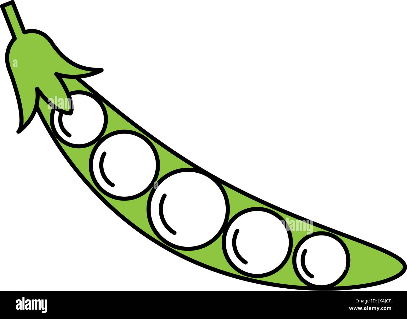 peas vector illustration Stock Vector Image & Art - Alamy
