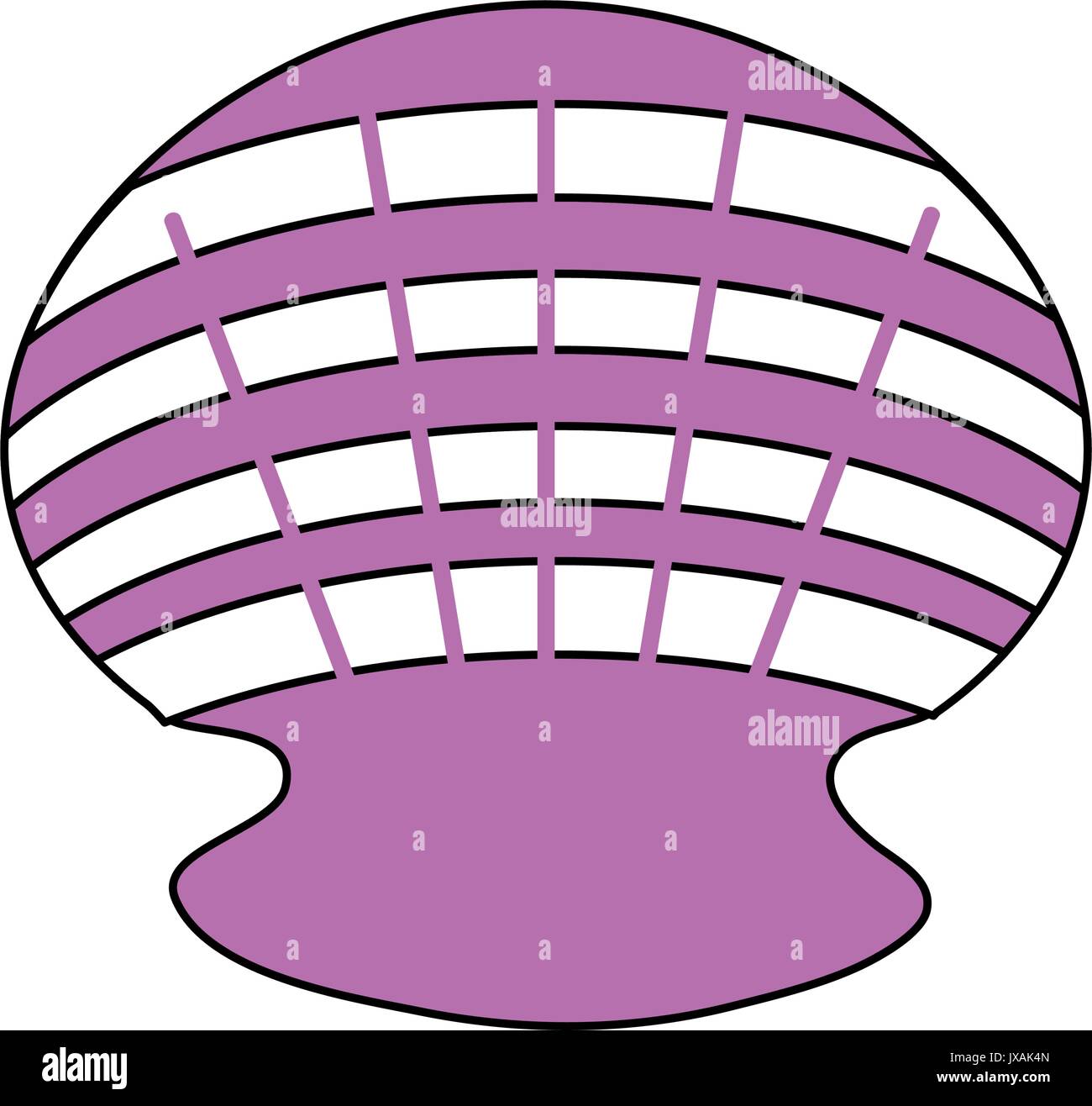 seashell vector illustration Stock Vector Image & Art - Alamy