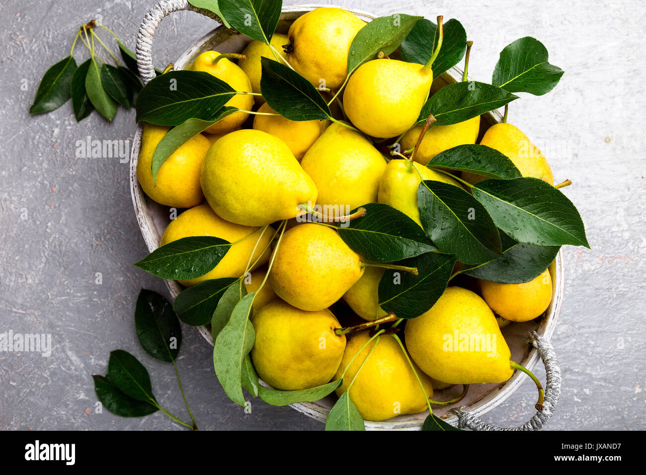 Yellow pear in grey basket in grey background. Harvest. Top view. Full ...