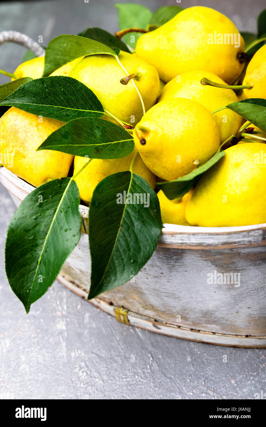 Yellow pear in grey basket in grey background. Harvest. Close up. Full ...