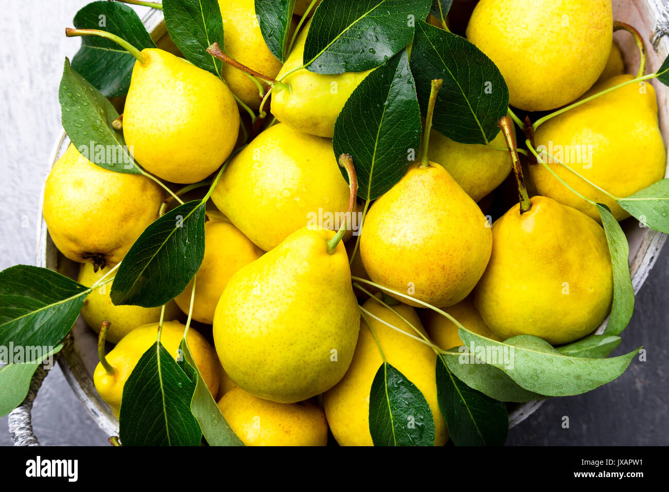 Yellow pear in grey basket in grey background. Harvest. Top view. Full ...