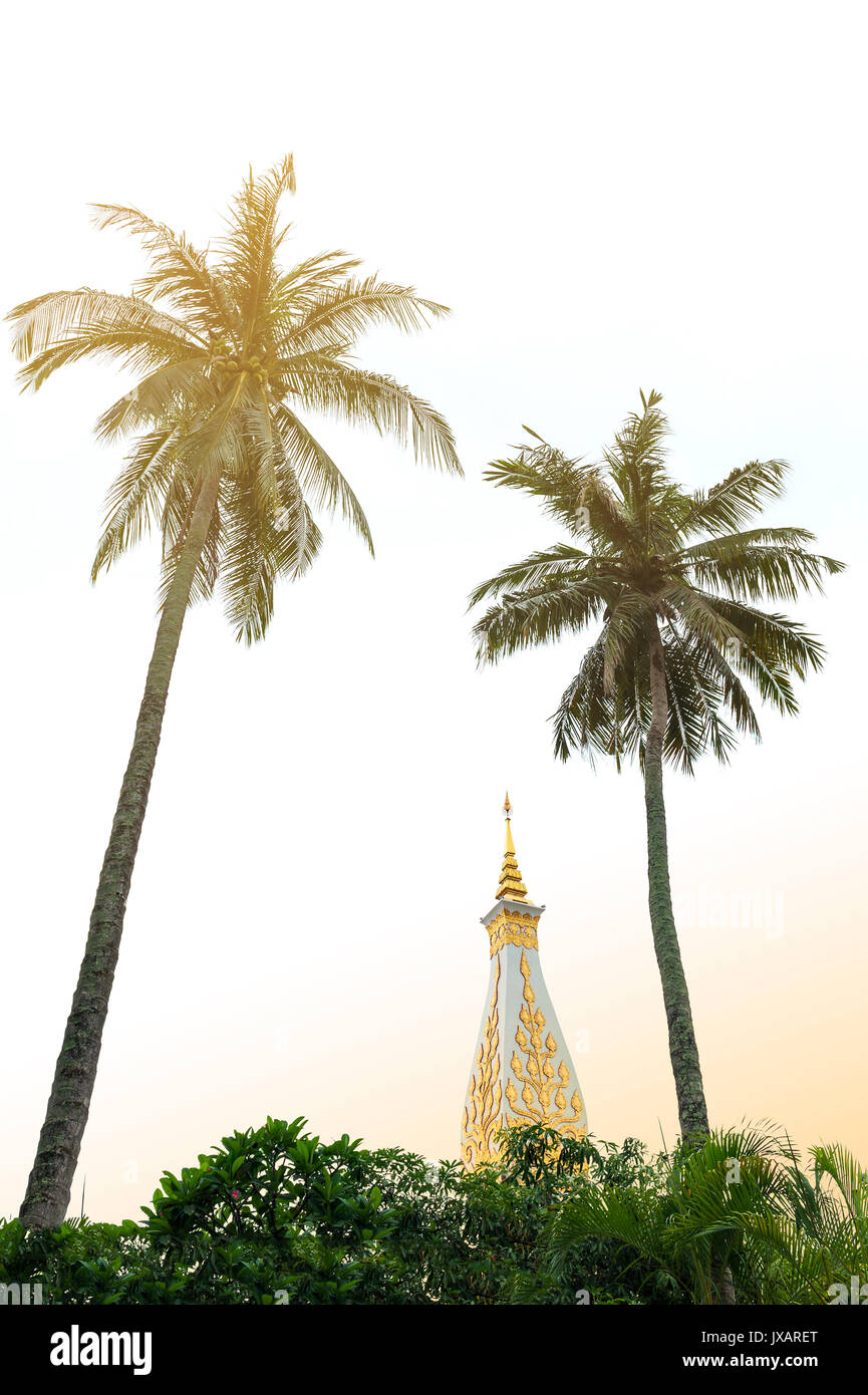 Coconut palm tree at temple of Phra That Phanom Stupa, one of the most ...