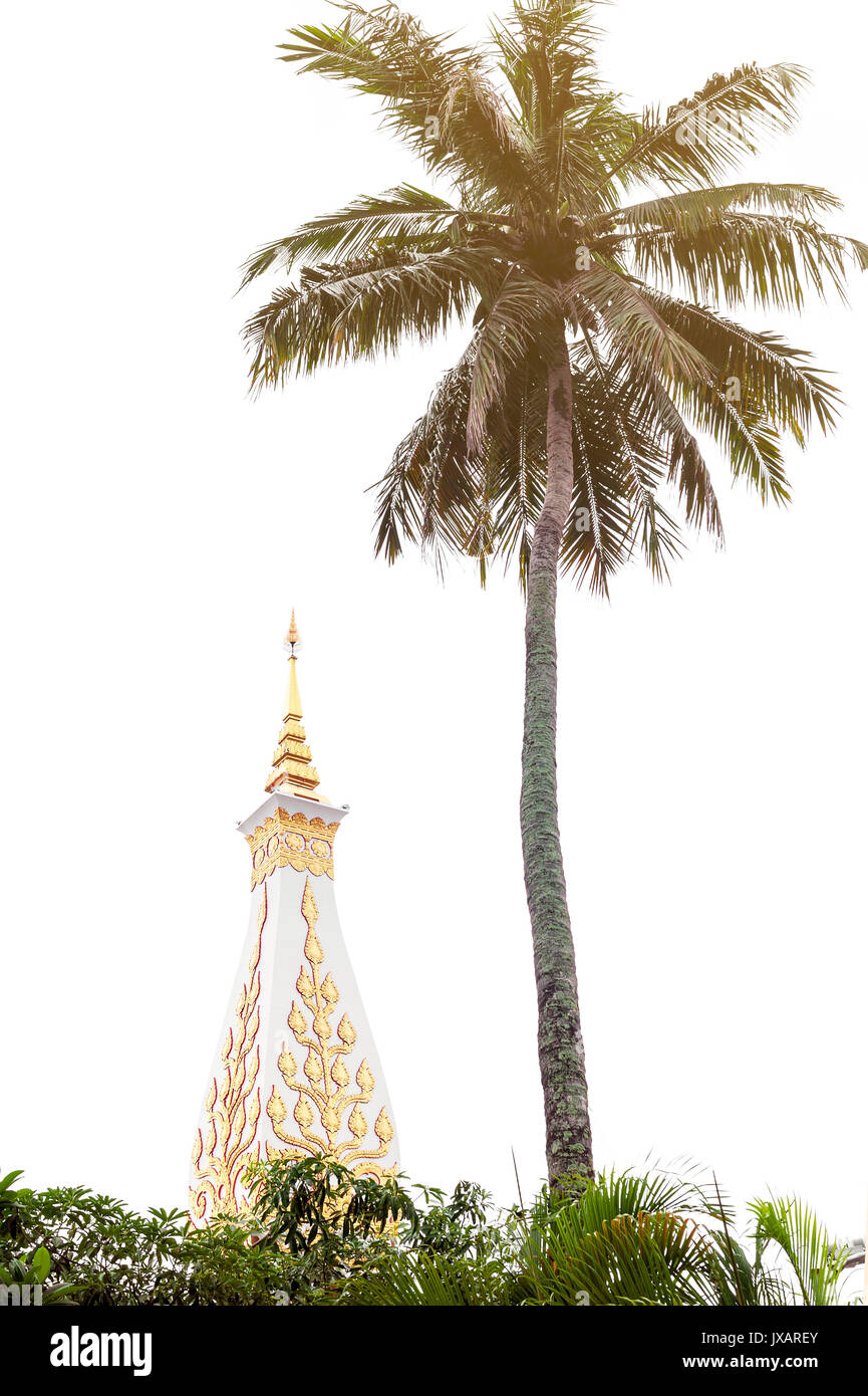 Coconut palm tree at temple of Phra That Phanom Stupa, one of the most ...